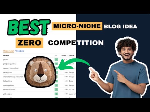 Best Micro Niche Blog Topic 2023 | Low Competition Blogging Niche Idea For Beginners | Blogging 2023