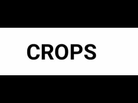 WHAT DO YOU MEAN BY CROPS ?