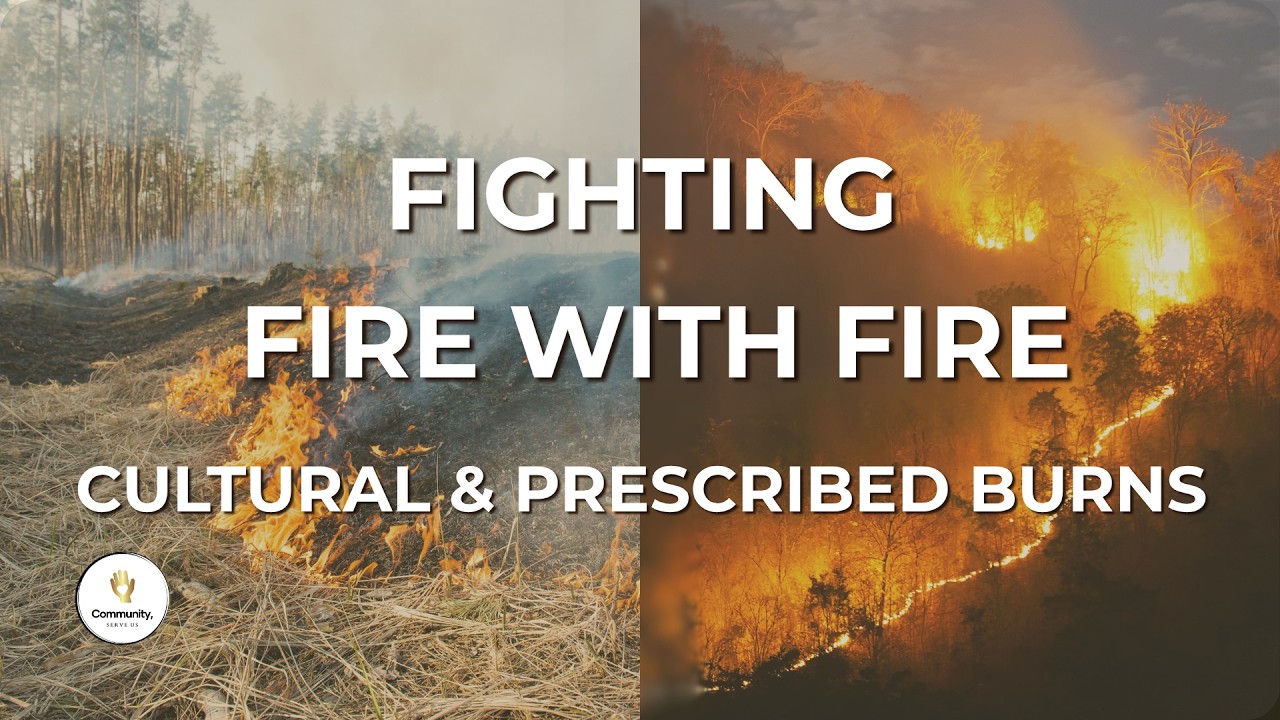 Fighting Fire With Fire: Cultural & Prescribed Burns