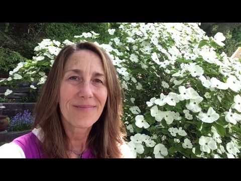 Enjoy the Moment – Rachel Keil