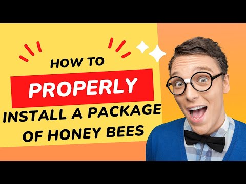 How to properly install a package of honey bees (2023)