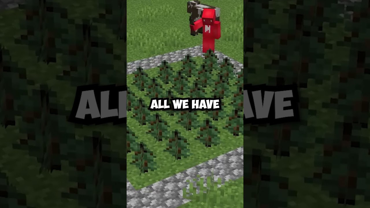 Spruce Instead of Oak Trees