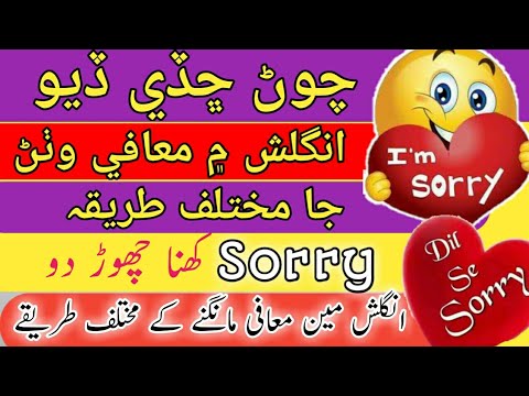 Stop Saying I am Sorry In Urdu Hindi Sindhi | Different ways to say Sorry | Sindhi grammar