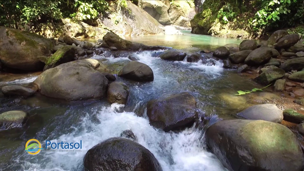 Portasol – Rainforest