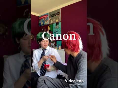 Tododeku Canon vs Fanon