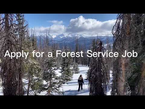 How to apply for a Forest Service Job and navigating USAjobs