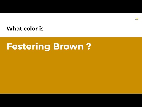 Festering Brown color #cb8e00 hex color - Orange color - Cool color cb8e00
