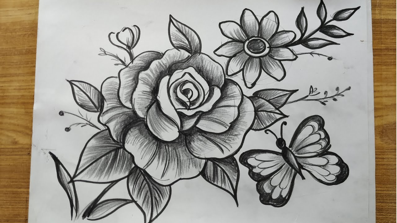 how to draw flowers & butterfly with pencil sketch,rose flower drawing,butterfly drawing,