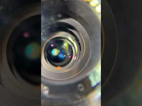 Olympus 150-400mm f4.5 - dust within teleconverter example