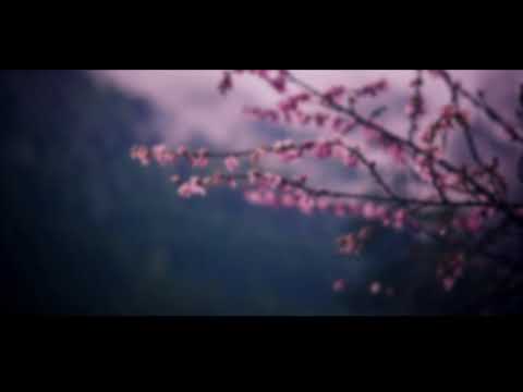 Spring | Quotes and descriptions to inspire creative writing.