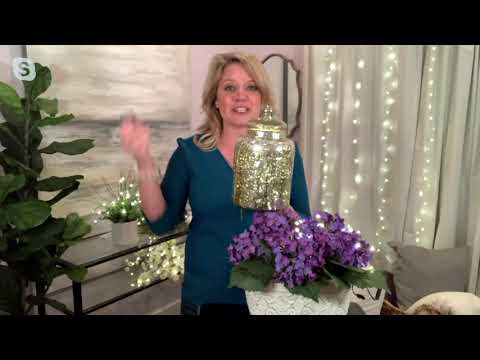 Bethlehem Lights Set of 4 Battery Operated 8' Fairy Lights on QVC