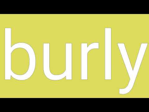 Burly Definition & Meaning
