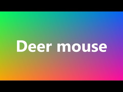 Deer mouse - Medical Definition and Pronunciation