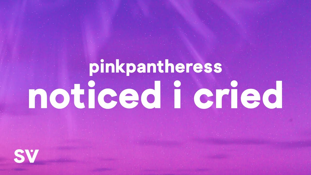 PinkPantheress - Noticed I Cried (Lyrics)