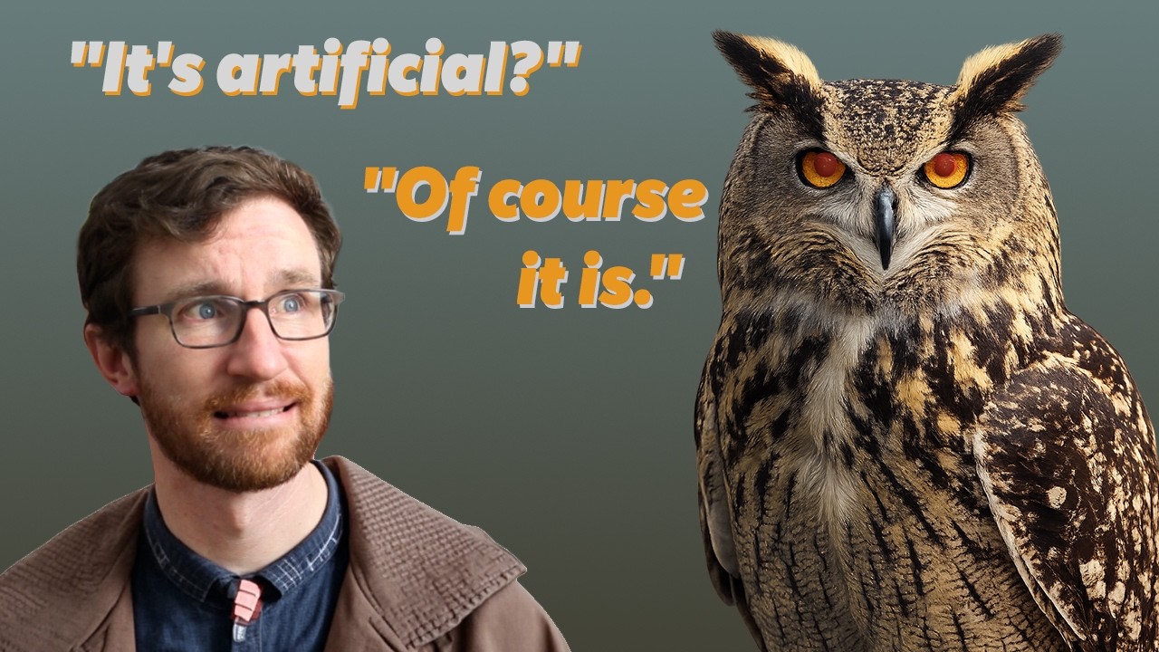 [These] Birds Aren't Real