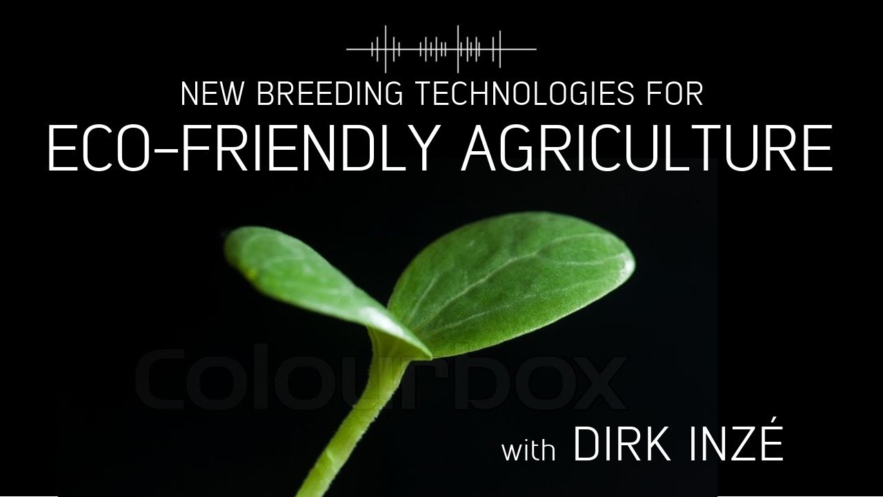 New breeding technologies for a climate resilient and eco-friendly agriculture with Dirk Inzé
