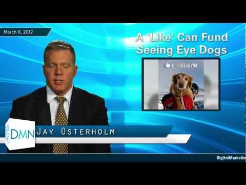 Dog Bless You - Wallit - 5 Digital Marketing Tools