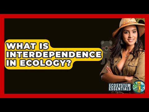 What Is Interdependence In Ecology? - Ecosystem Essentials
