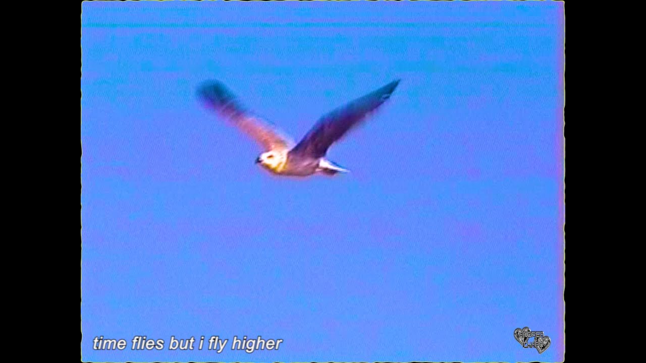 [free*] time flies but i fly higher