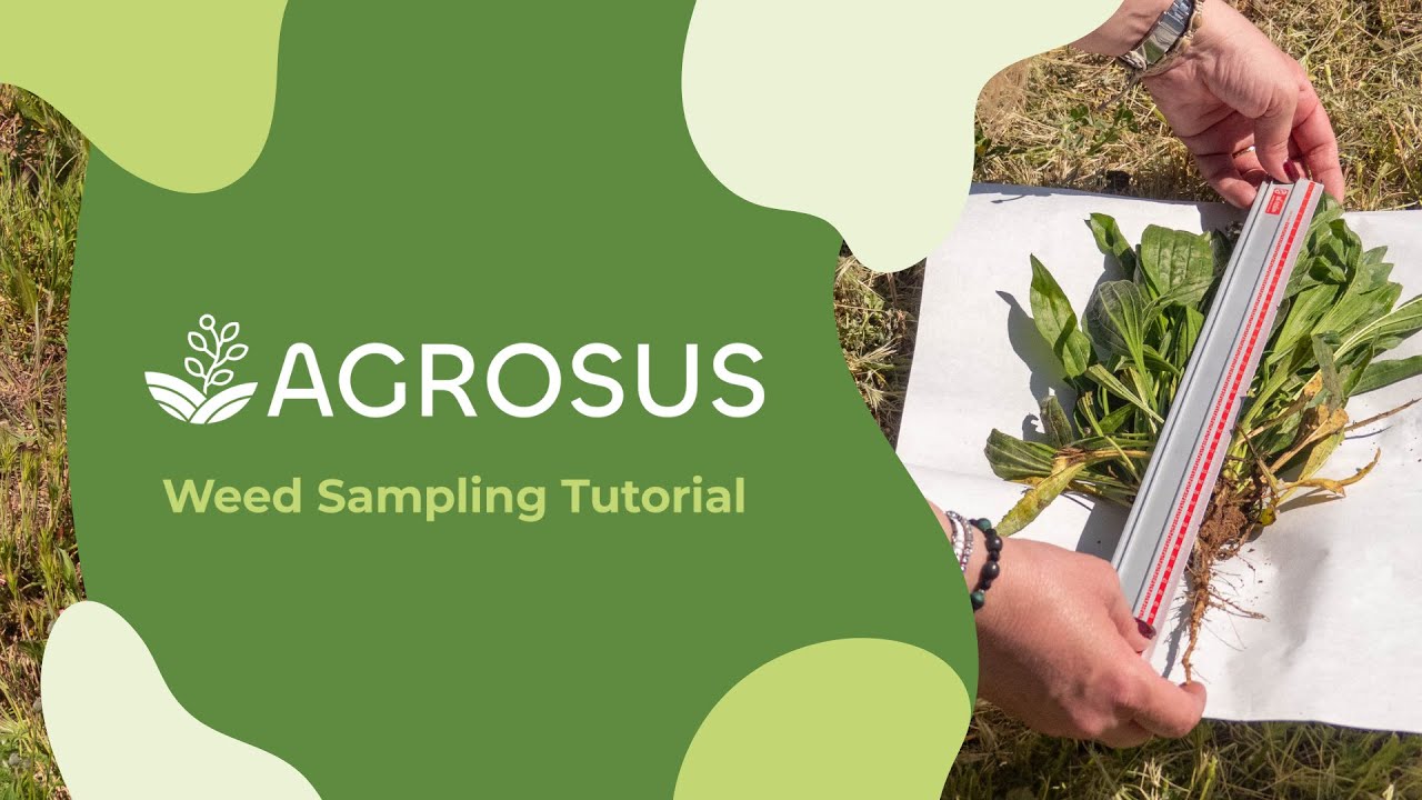 Weed Sampling Tutorial