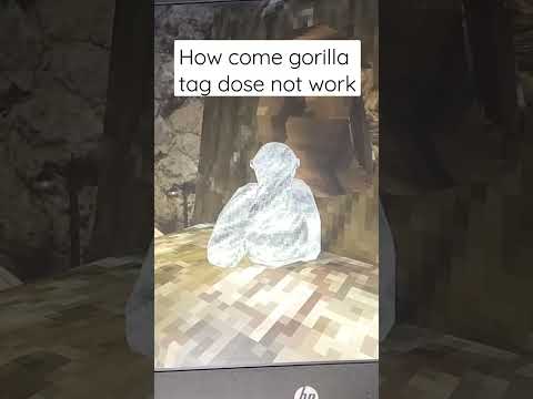 i dont now why steam vr gorilla tag is not working