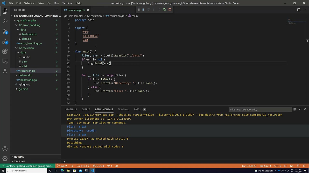 012 Go Lang - Error Handling #golang