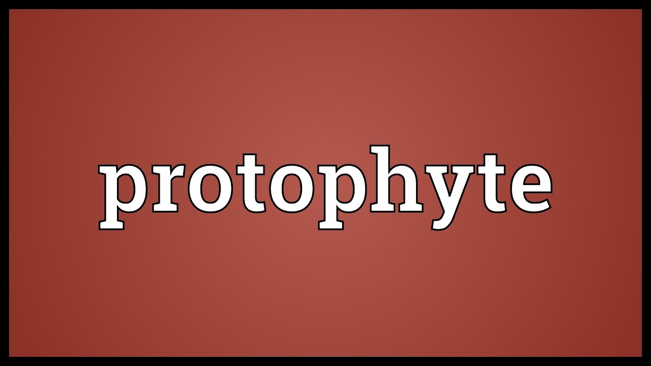 Protophyte Meaning