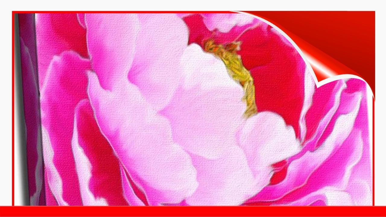 Find Best Feng Shui Symbols For Your Home 🛋️