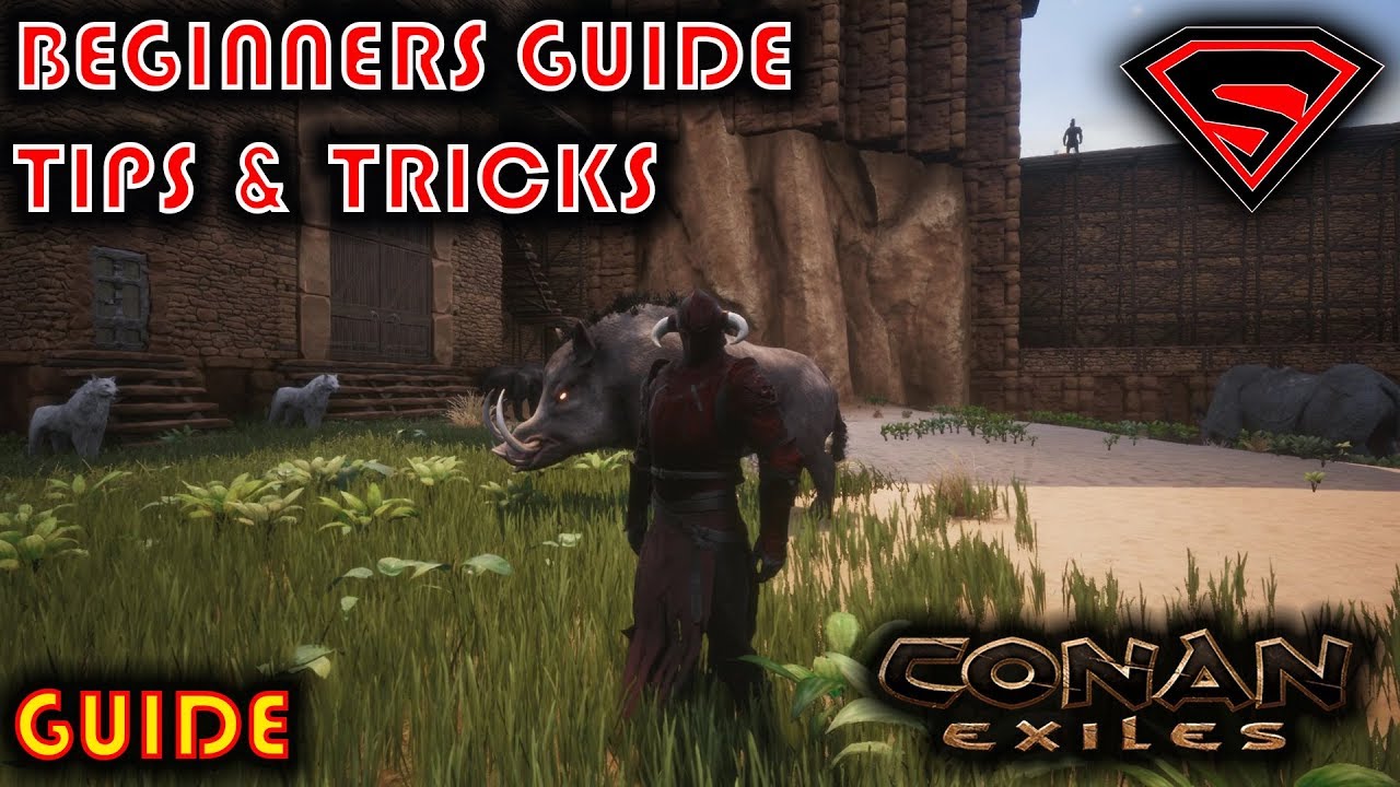 CONAN EXILES BEGINNERS GUIDE TIPS AND TRICKS - BEGINNERS GUIDE 2019