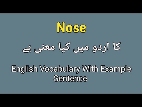 Nose meaning in Urdu | nose meaning in Urdu/ Hindi| nos meaning with example sentence