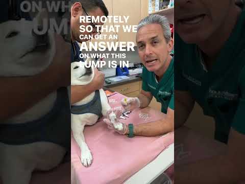 Digital Cytology explained by Dr. Boaz Man