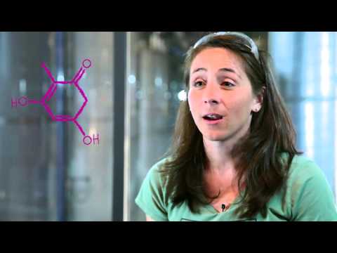 ChicaGO Science - Mary Bauer, C2ST, and HDMZ