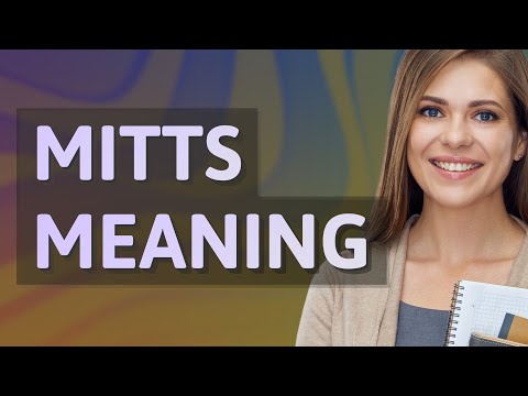 Mitts | meaning of Mitts
