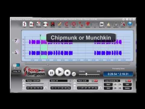Audio: Chipmunk or Munchkin sound elimination