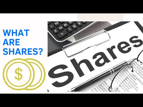 What are Shares? (English) Video Lecture - Class 4