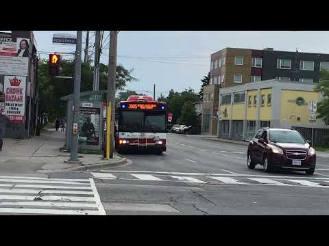 TTC 1003 WIFI bus and 8171 on route 300 Bloor - Danforth Blue Night