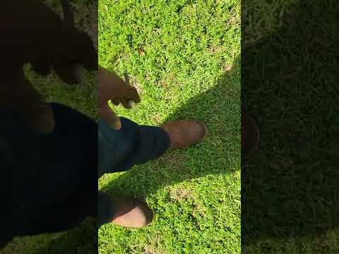BRUNT WORK BOOTS!! MY 1 MONTH REVIEW!! ON FOOT LOOK!! #BRUNTWORK #BRUNT #BESTWORKBOOTS #boots