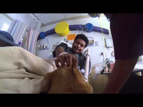 The Best Medicine: Furry Friends