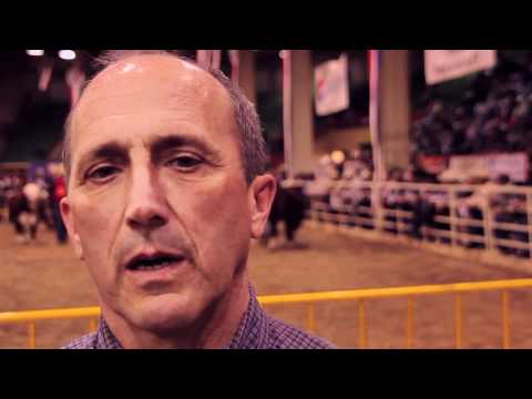 BuyHereford.com: An Online Marketing Tool for Hereford Breeders
