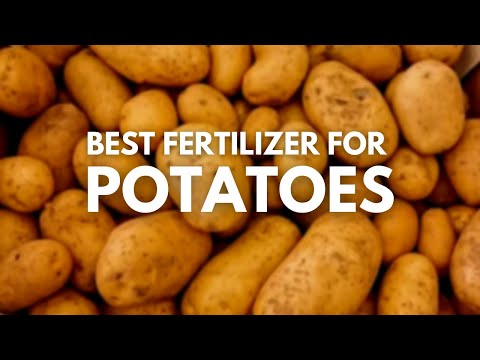 Best Fertilizer for Potatoes - Top Organic Fertilizer for 2025