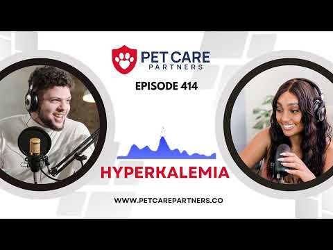 Hyperkalemia in Dogs: Symptoms, Causes and Treatment Guide - VOSD