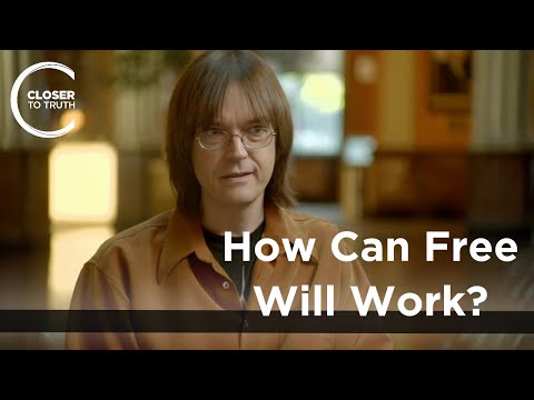 Dean Zimmerman - How Can Free Will Work?