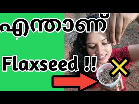 FLAXSEED: What Is Flaxseed // How To Use Flaxseed, Malayalam(2019)