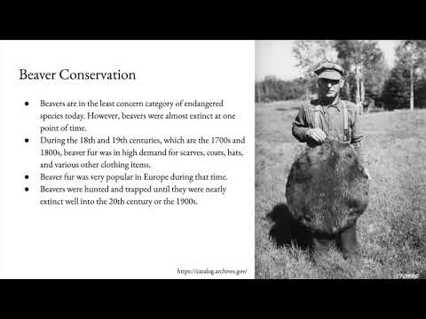 Why are there Wildlife Refuges?