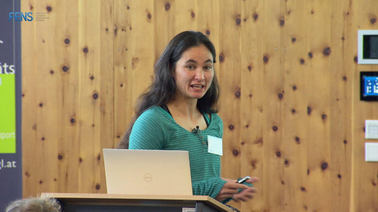 Kristin Branson on Machine vision and learning methods to analyze animal behavior