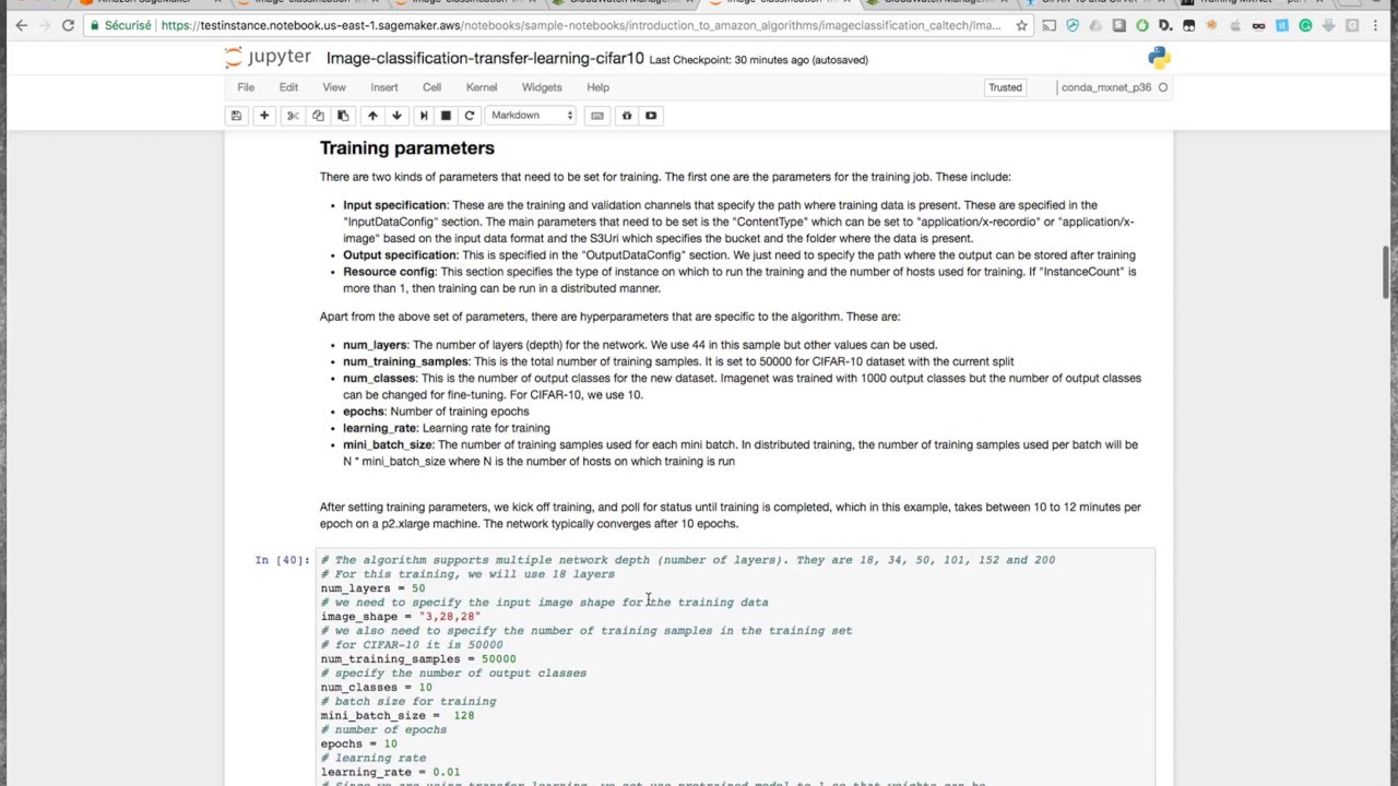 Image classification with Amazon SageMaker