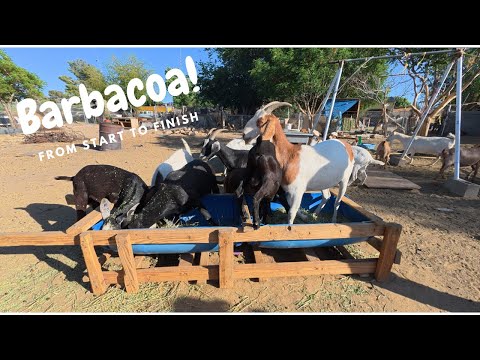 Memorial Day weekend - Barbacoa and Consomé