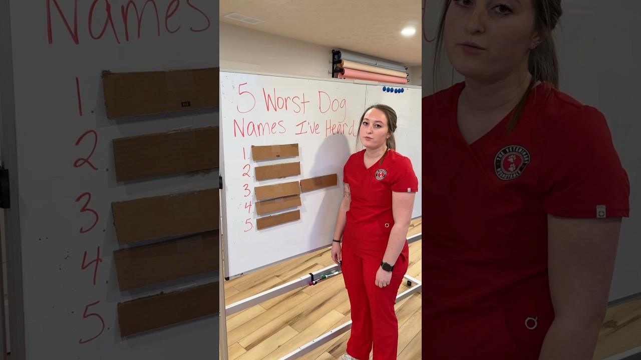 The WORST dog names we’ve ever heard #shorts #vetmed #vettech #dogs