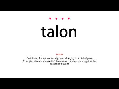 How to pronounce talon - Vocab Today