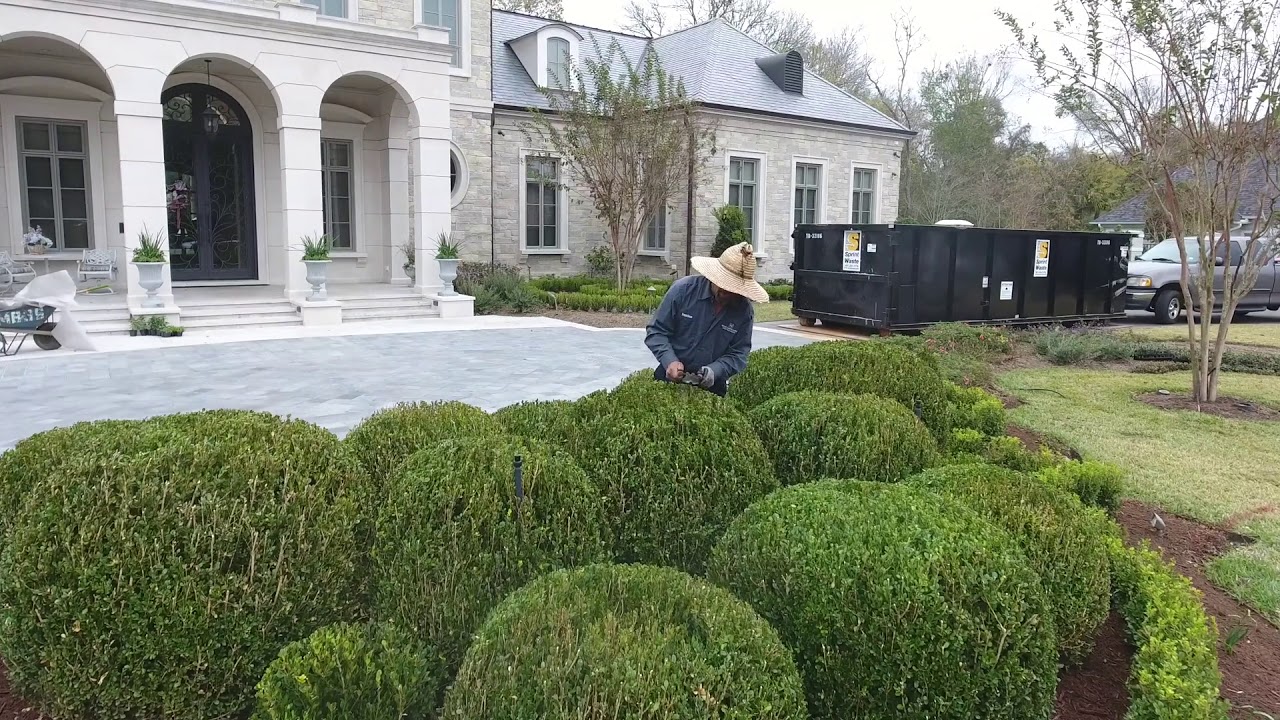 Creating a Boxwood Cloud